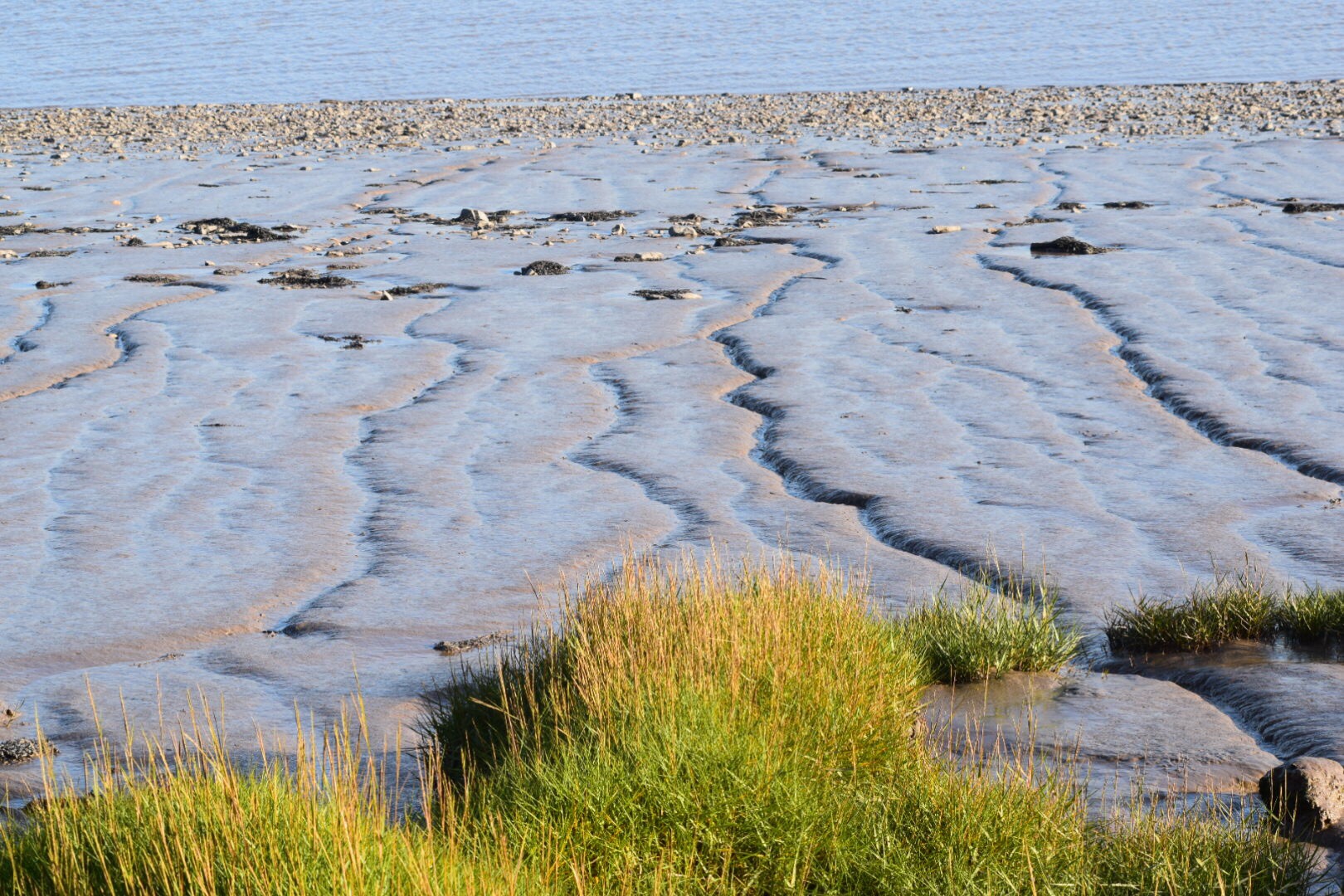 Mud and Fossils – NATURE TABLE EXPLORER
