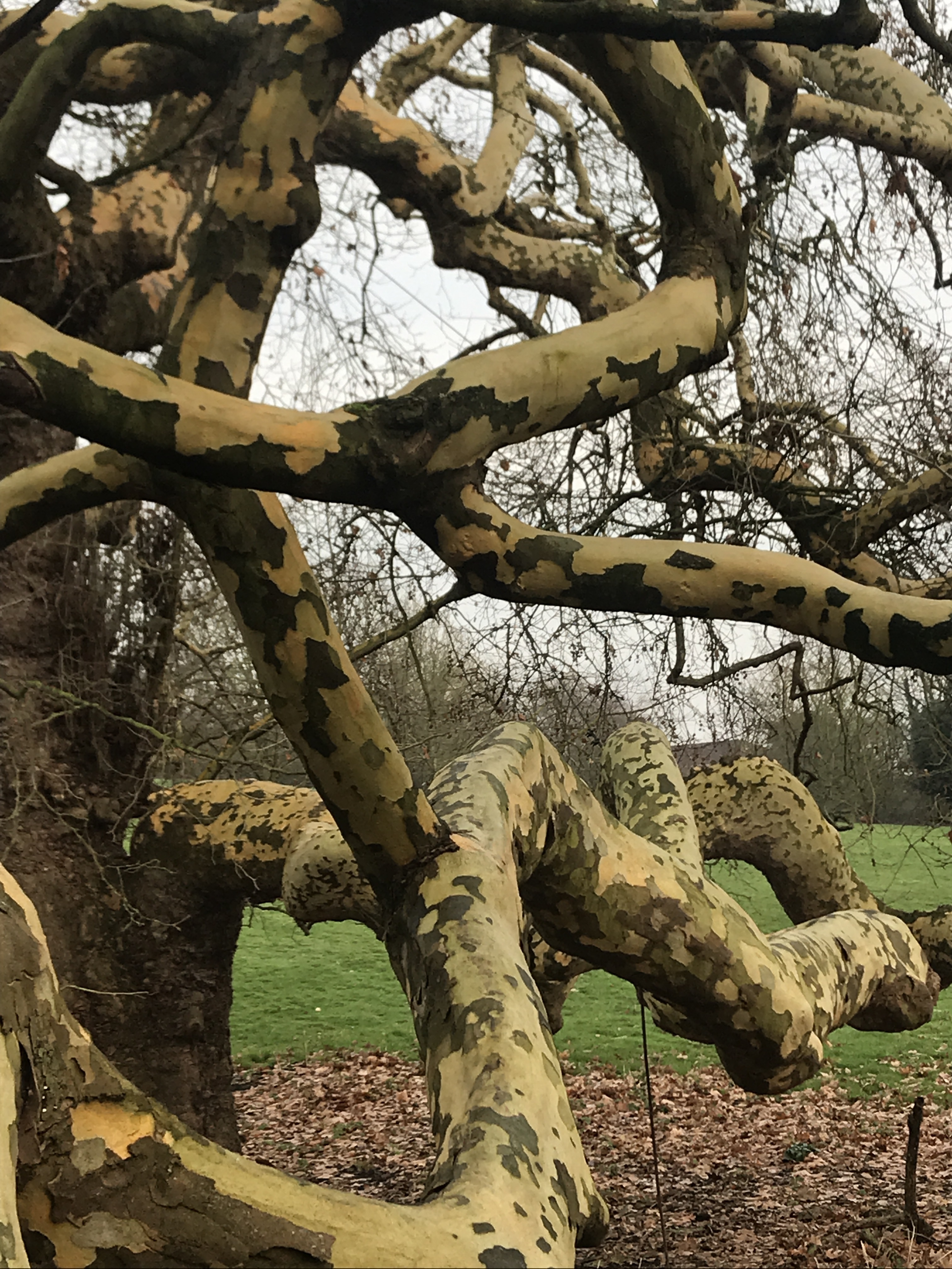 Monumental Encounter – NATURE TABLE EXPLORER