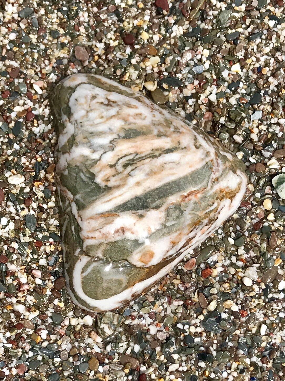 Devon rocks ! – NATURE TABLE EXPLORER